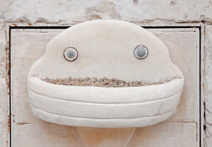 Pareidolia: qué es y su utilidad en fotografía | Campus Training