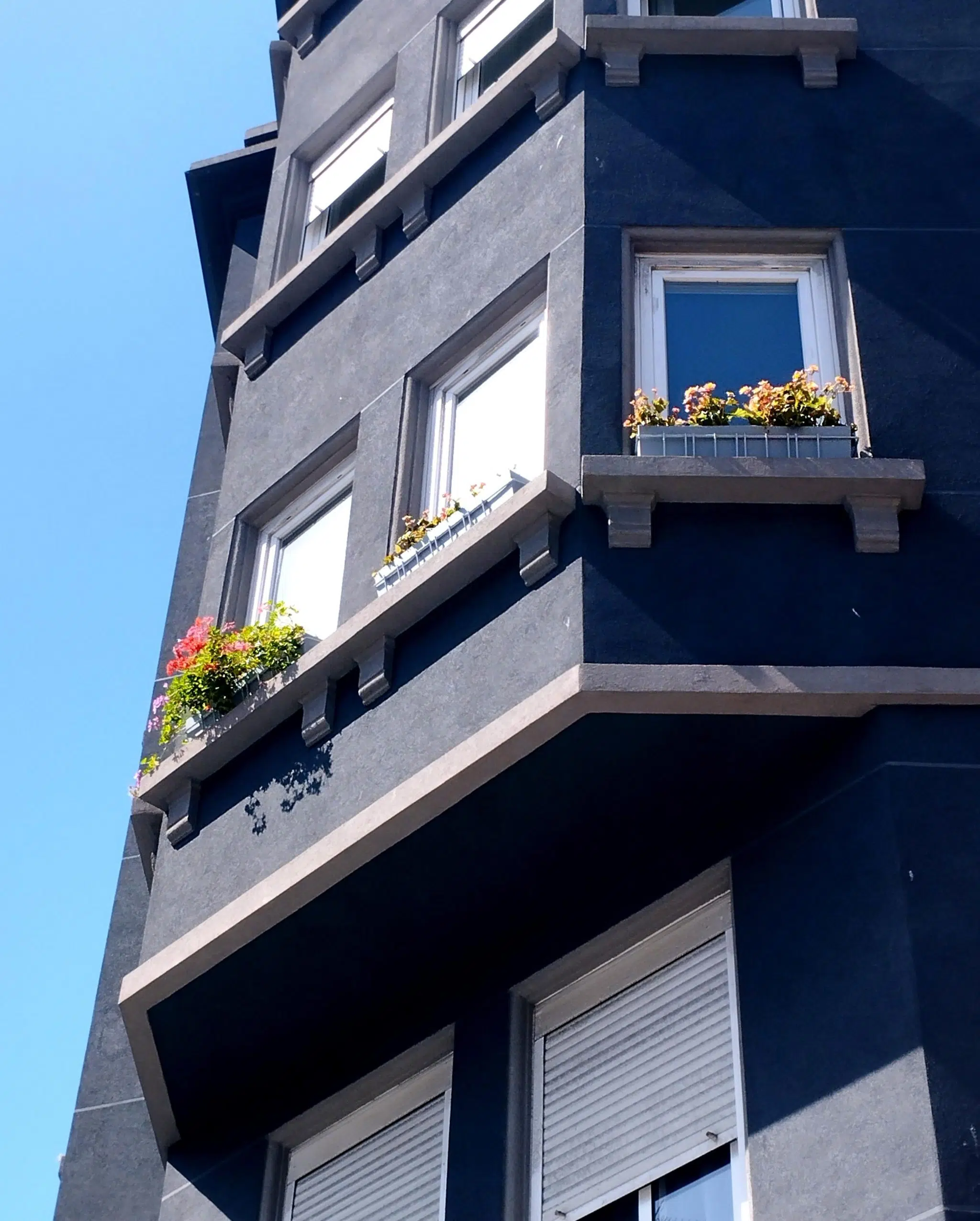 Bay windows: las ventanas bahía mirador - Campus Training